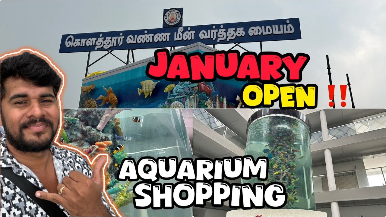 முதன்முறையாக 😱 Kolathur color fish Trade centre 🐠 Villivakkam🐬 எப்போ ...