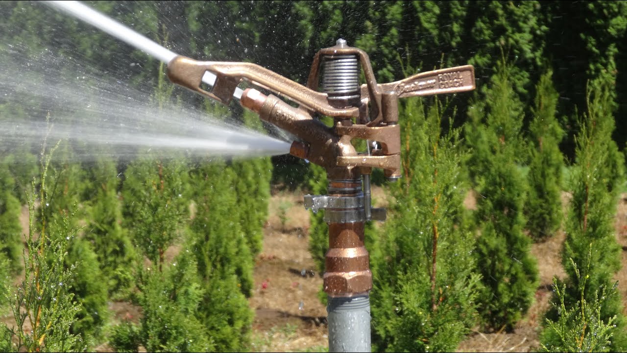 Buckner Royal Coach 10151 Impact Sprinkler - YouTube
