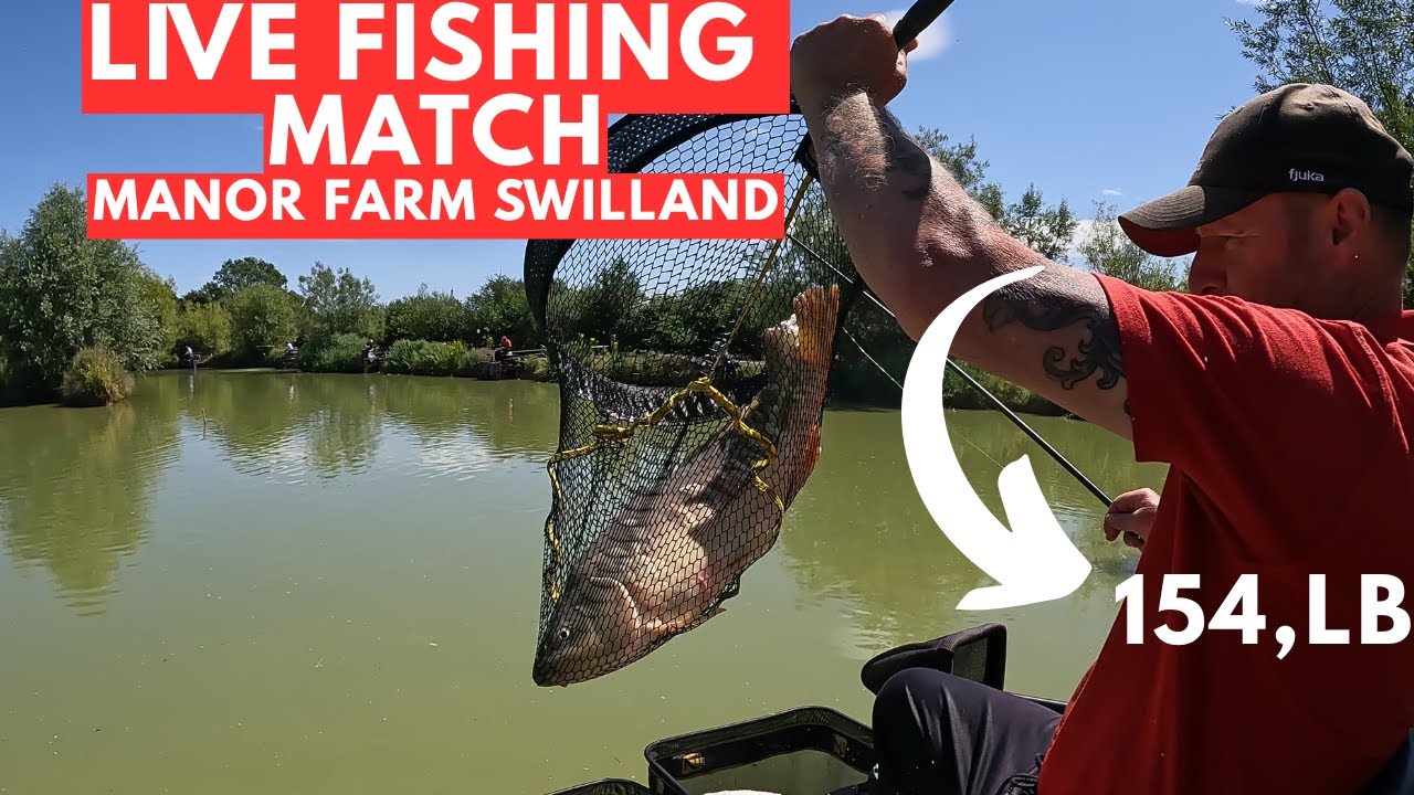 Live Fishing Match Manor Farm Swilland IP6 9LB, #matchfishinguk - YouTube