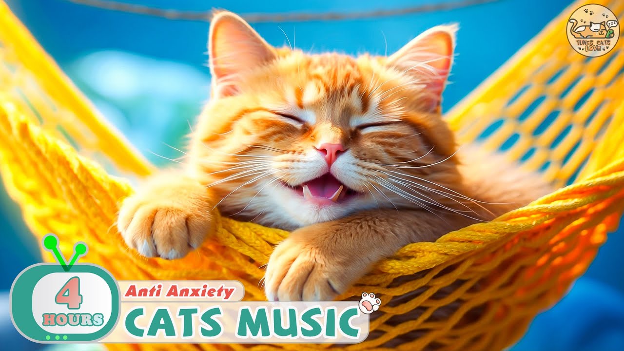 Guiding Cats to Dreamland 🎵 Anti-anxiety Lullaby for Cats 🎶 Cat Music ...