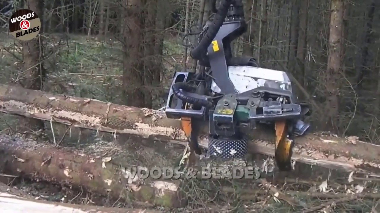 Extremely FAST MODERN MACHINE For Harvesting Trees | Most Satisfying ...