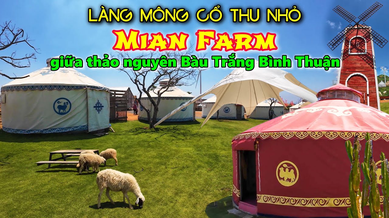 "Làng Mông Cổ" thu nhỏ MIAN FARM - Điểm checkin THẢ GA giữa thảo nguyên ...