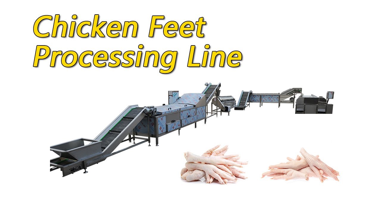 Maximizing Efficiency: Improving Your Chicken Feet Processing Line - YouTube