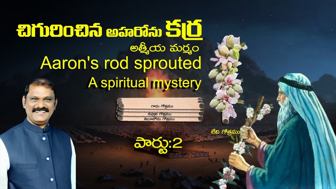 చిగురించిన అహరోను చేతి కర్ర || A budding Aaron's rod is a spiritual ...