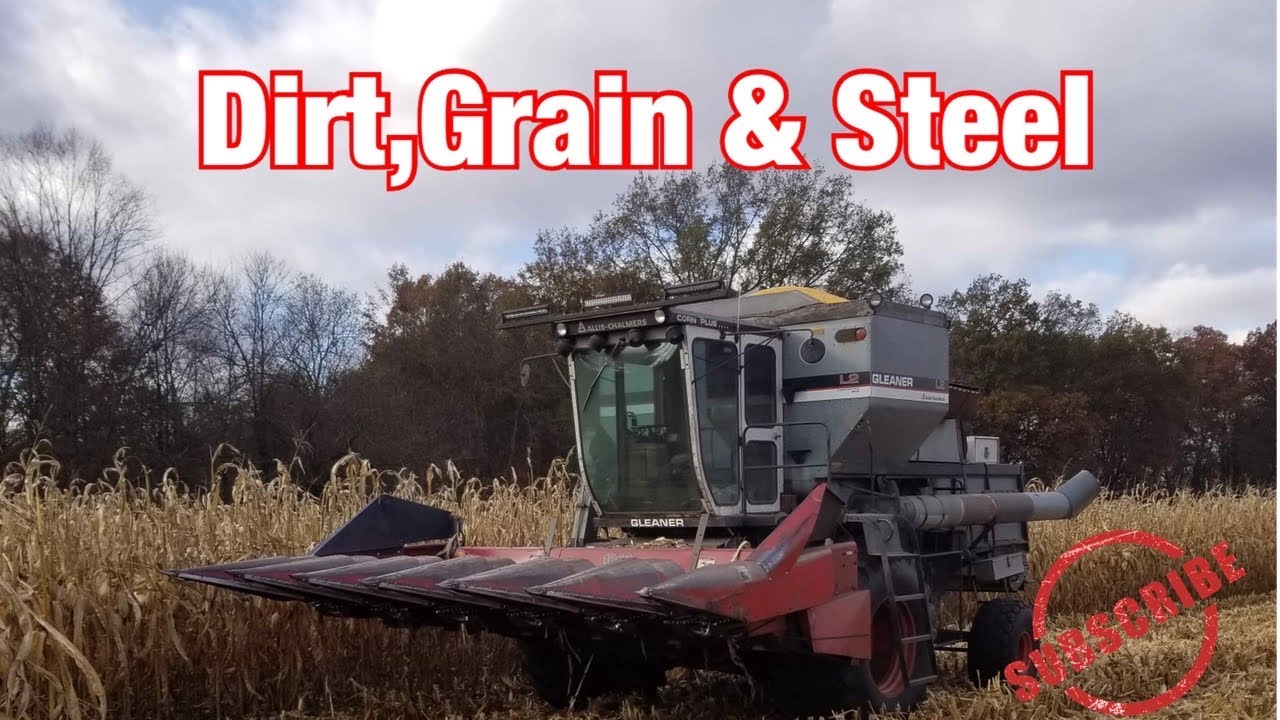 What Makes A Successful YouTube Channel? Planting Beans Day 5 Video ...