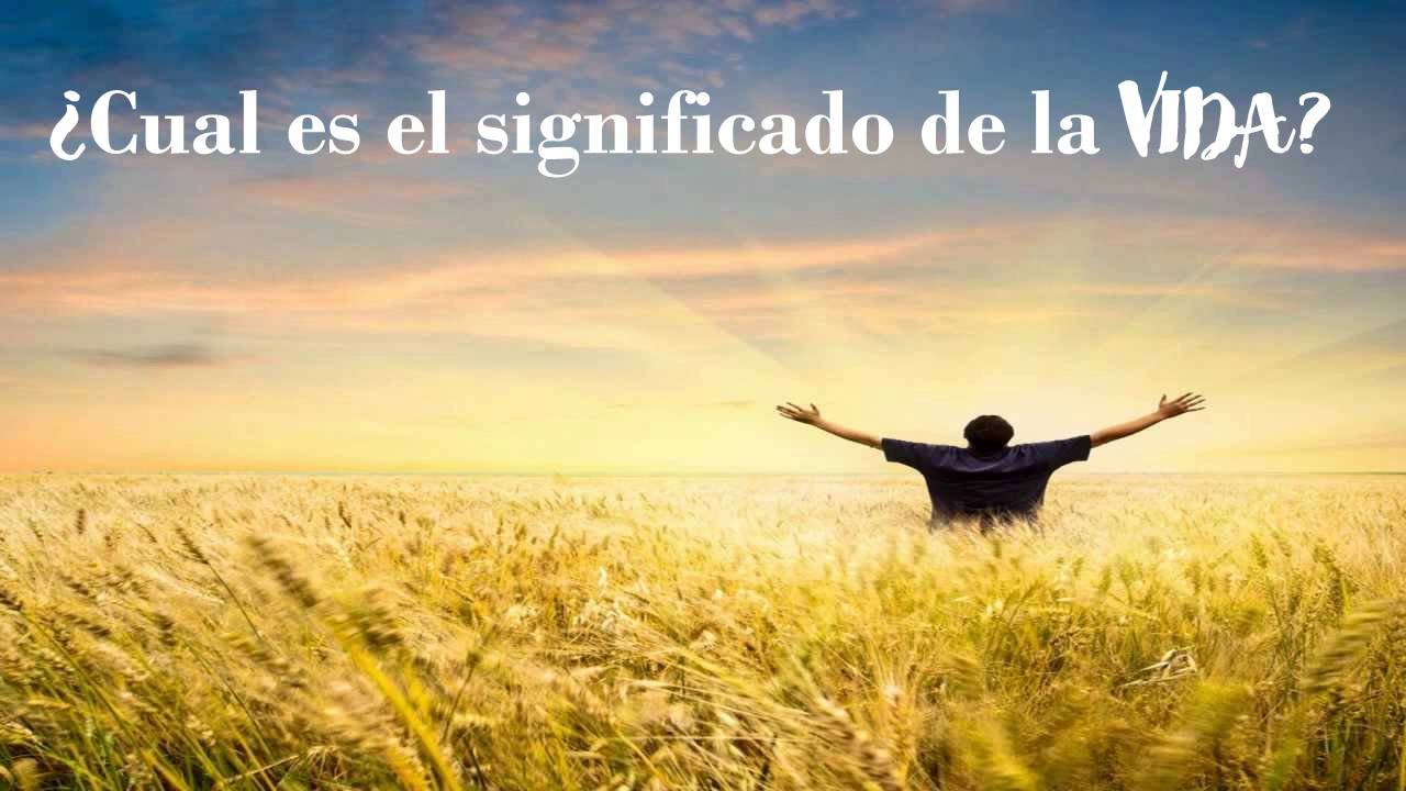 ¿Cual es el significado de la vida? #Preguntas - YouTube