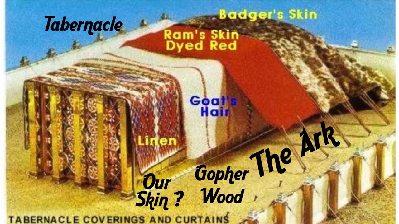 God’s Temple the Badger and Gopher - YouTube