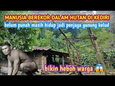 HEBOH !! MANUSIA BEREKOR DALAM HUTAN DI KEDIRI || belum punah masih ...