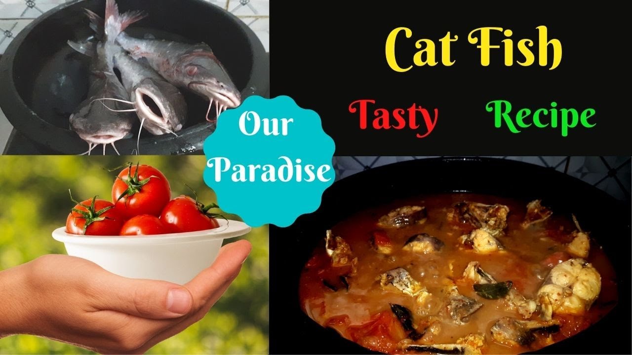 Cat Fish || Etta Meen || Dad's Homely foods - YouTube