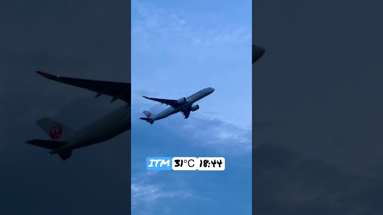 Airbus a350 JAL Sunset Takeoff Osaka International Airport #airbusa350 ...