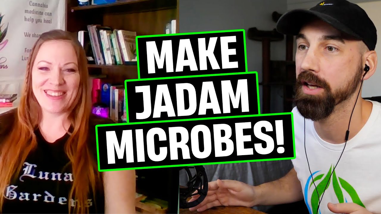 JADAM How To: JMS (JADAM Microbial Solution) - YouTube