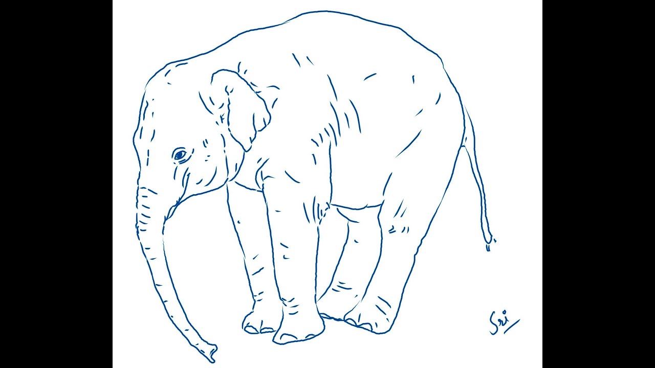 How to Draw an Elephant | YZArts | YZArts - YouTube