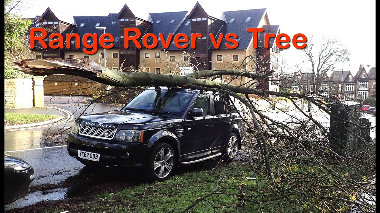 Why Buy a Land Rover - Range Rover vs Huge Tree Branch Falling on Roof ...