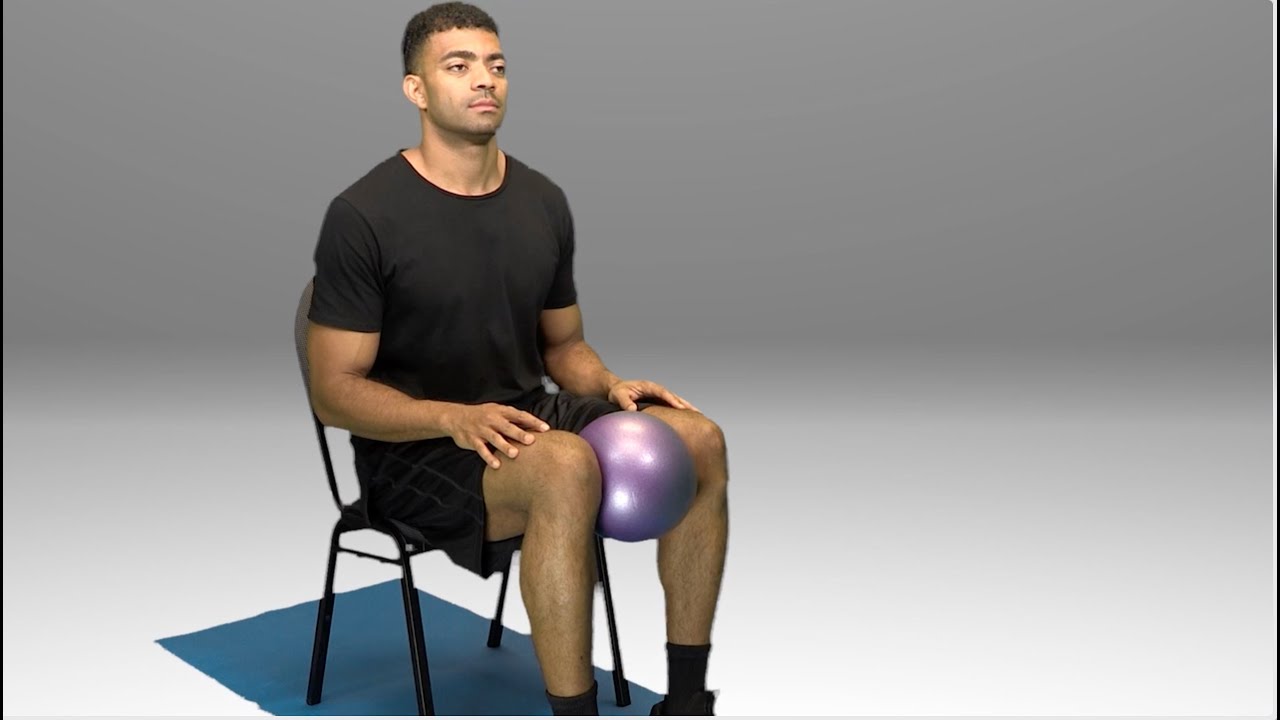 Seated Hip Adduction With Ball