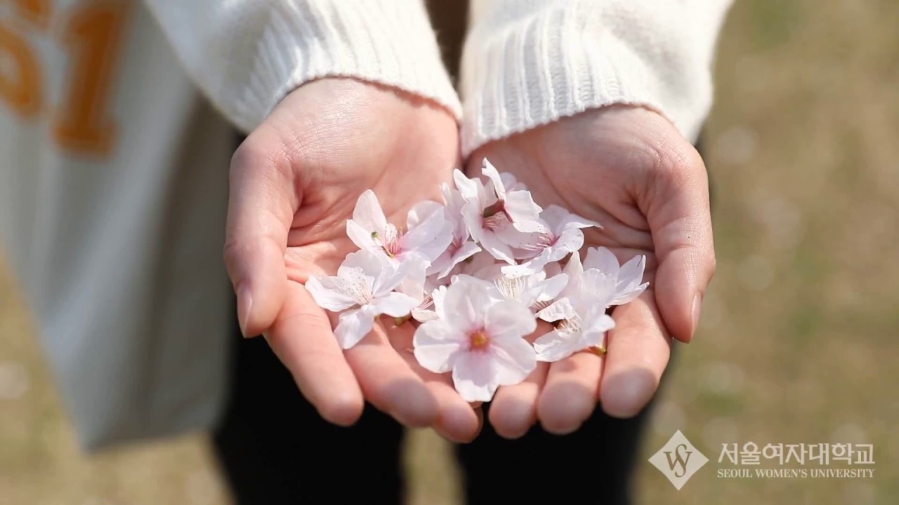 "SWU Spring(슈프링)" 2017년 서울여대의 봄 풍경 - YouTube