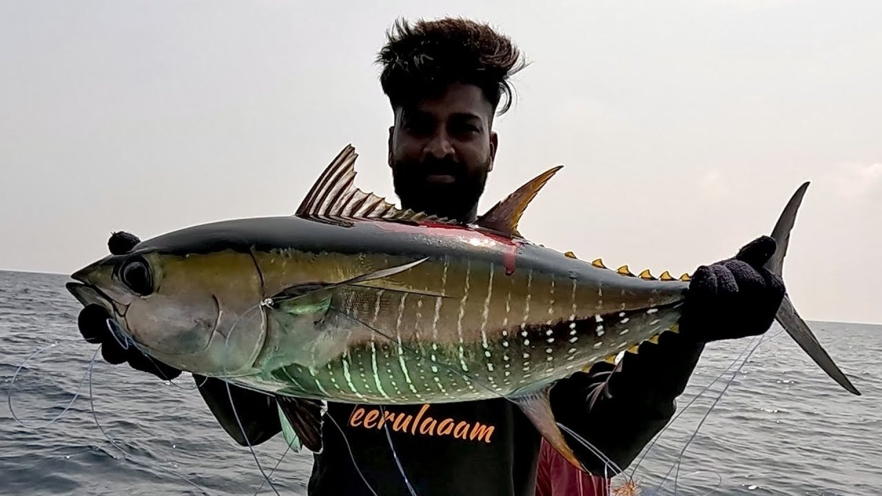 Catching Tuna Fish in the Deep Sea #fish #fishing #fishingvideo - YouTube