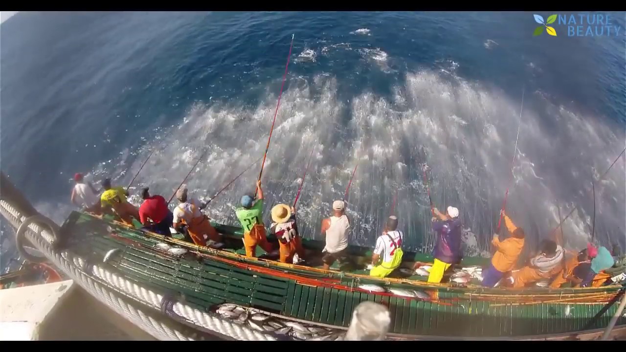 Fishing - Fast Extreme Bluefin Tuna Fishing Skill in The Sea - YouTube