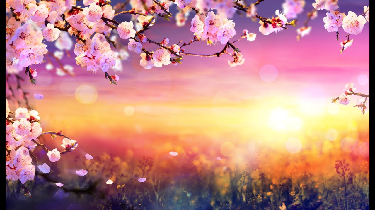 A Dream of Spring by Dwayne Leon Rankin - YouTube