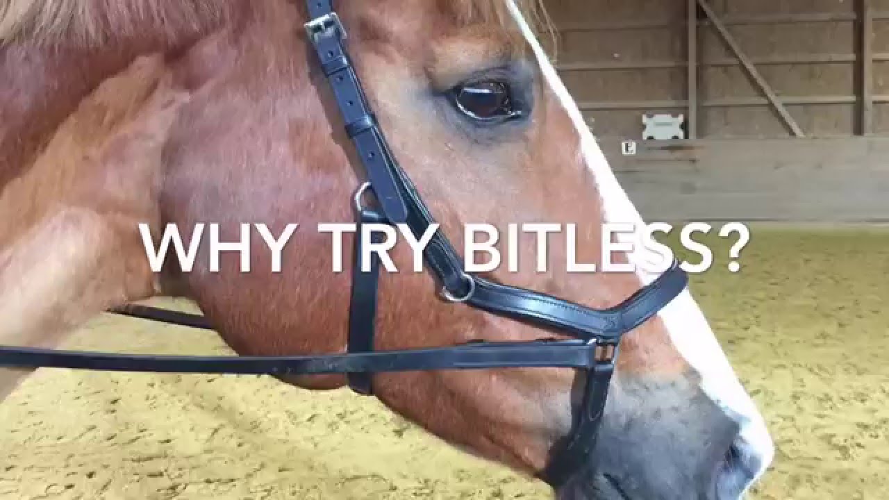 BITLESS Dressage - YouTube