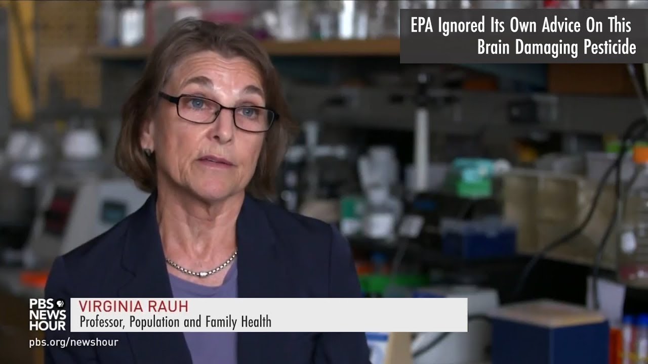 Shaping Public Discourse, 2019 - YouTube