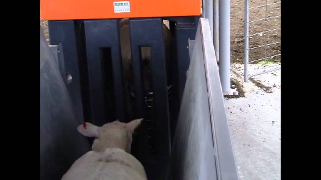 Gallagher Auto Drafter user story - Cuthbertson Bros - YouTube