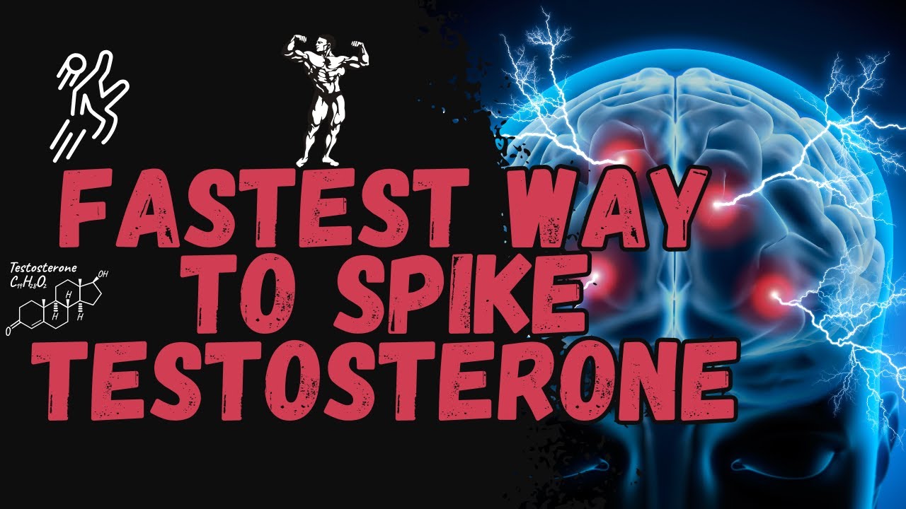 How to Trigger Acute Testosterone Spikes: The Non-Genomic Pathway ...
