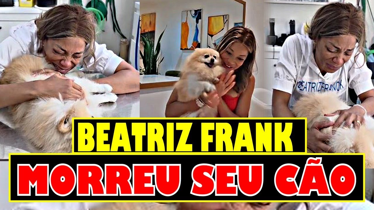 BEATRIZ FRANK EM LUTO: MORREU SEU CÃO -LOVIT, EMPRESÁRIA ESTÁ ...