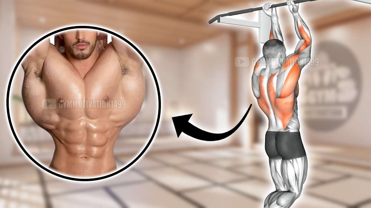 The best back exercises (popular) - YouTube