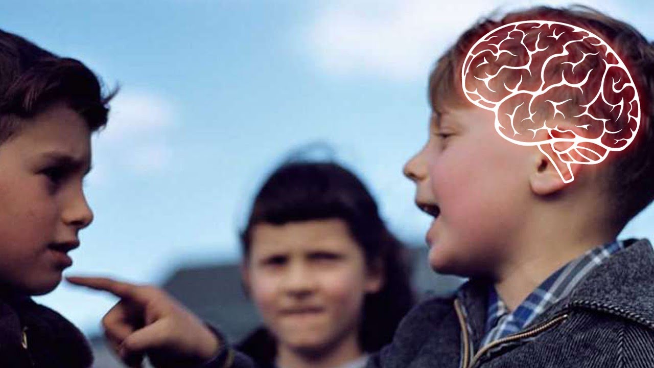Virtual Tour in the Mind of a Bully! - YouTube