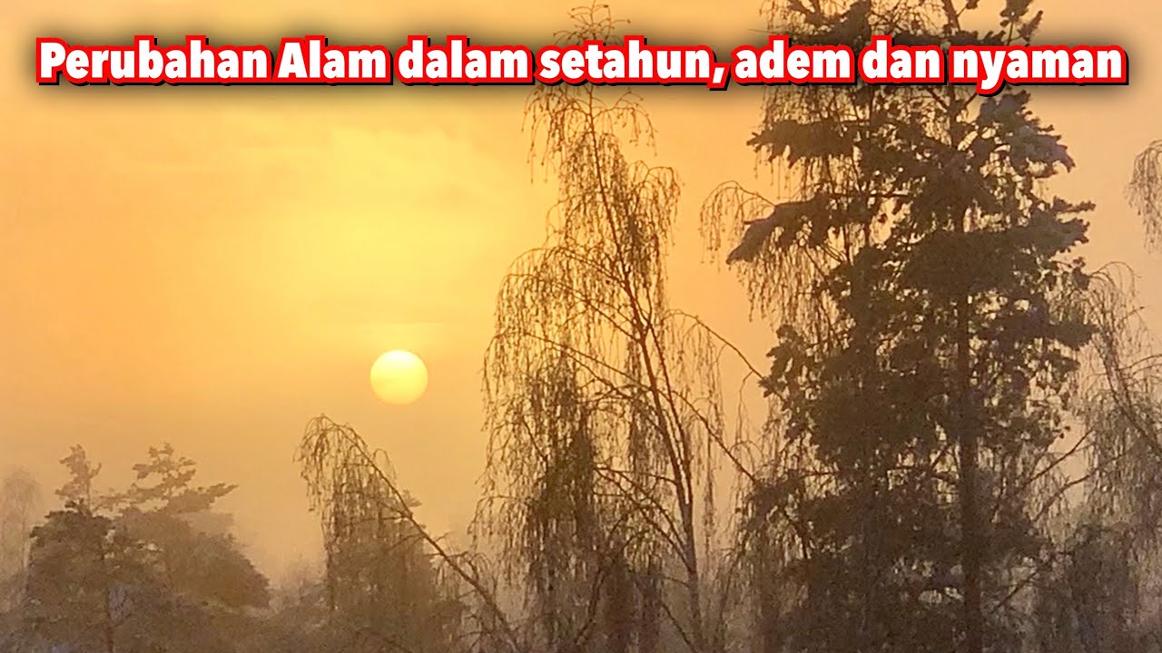 PERUBAHAN ALAM EMPAT MUSIM BIKIN JATUH CINTA - YouTube
