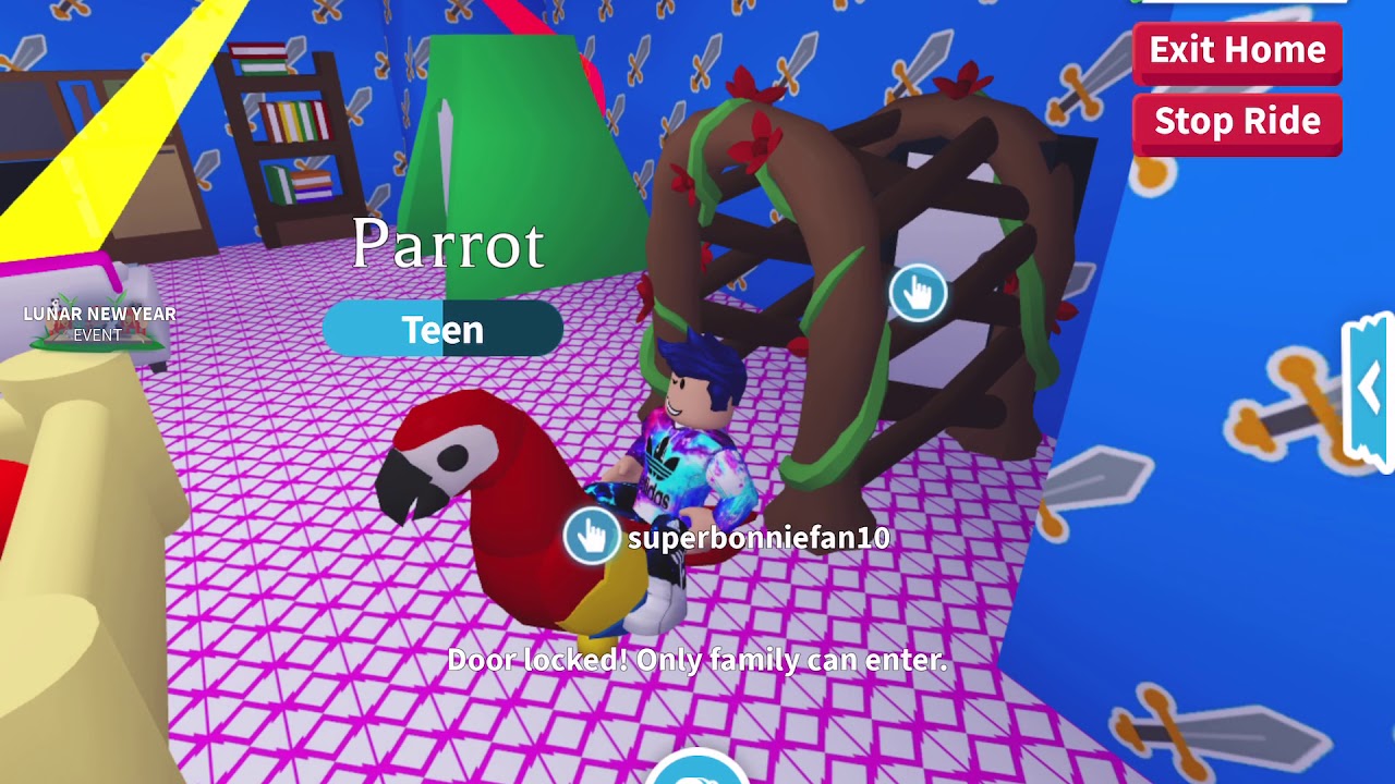 What people trade for fly ride parrot - YouTube