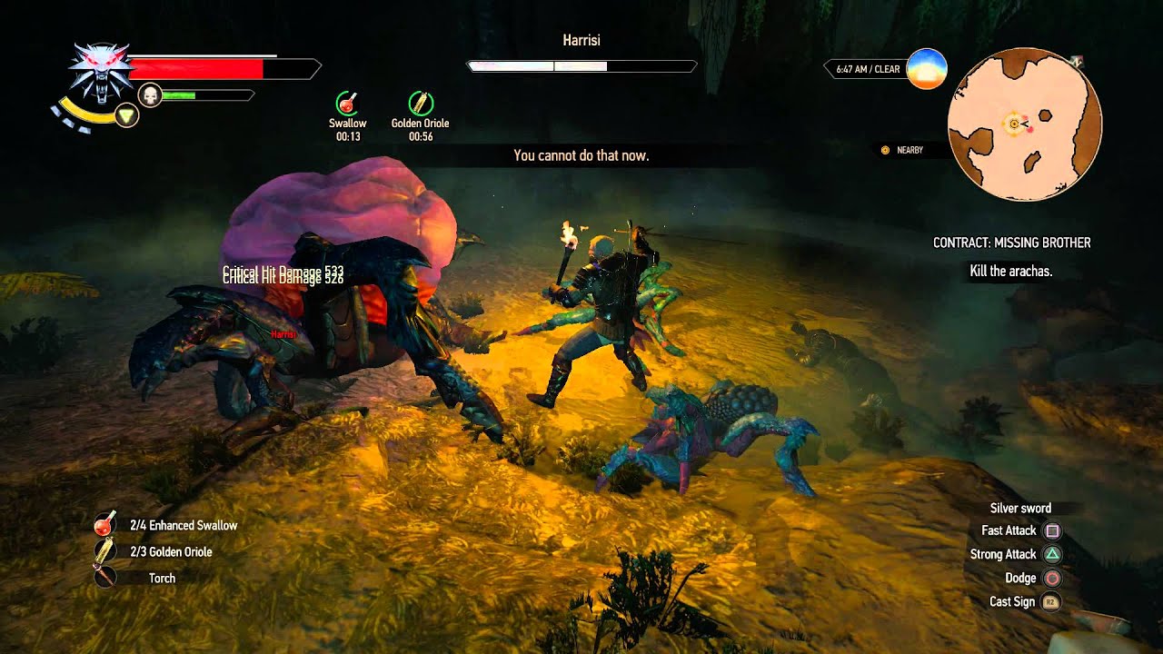 The Witcher 3 - Contract: Missing Brother: Harrisi (Giant Spider ...