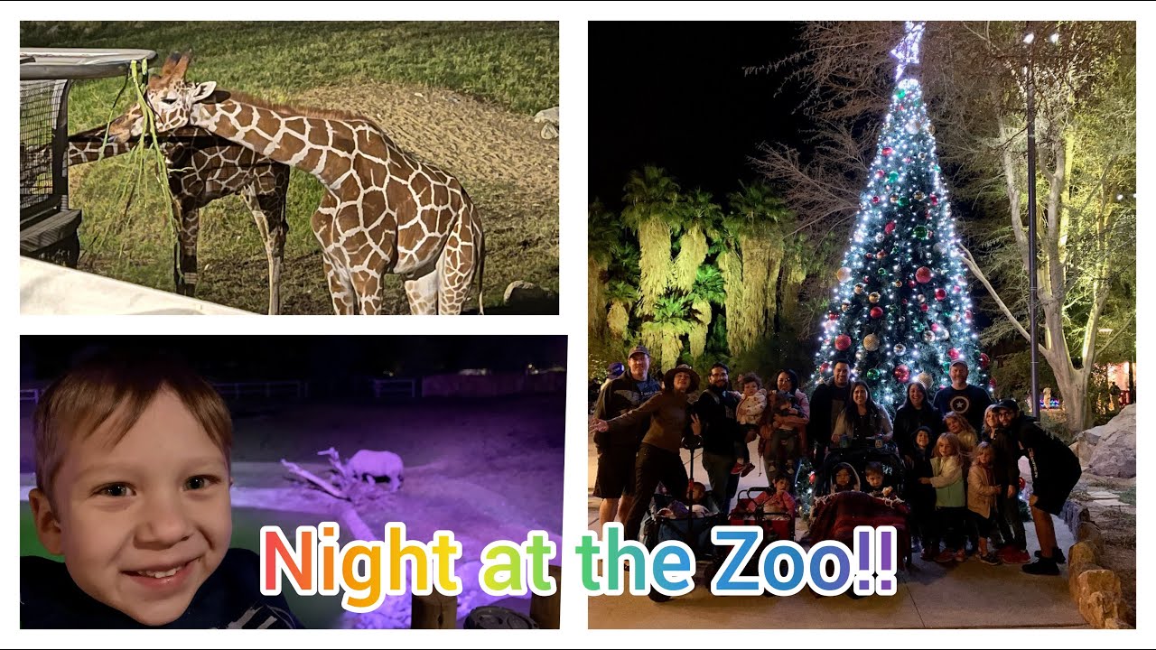 Night at the Zoo!! - YouTube