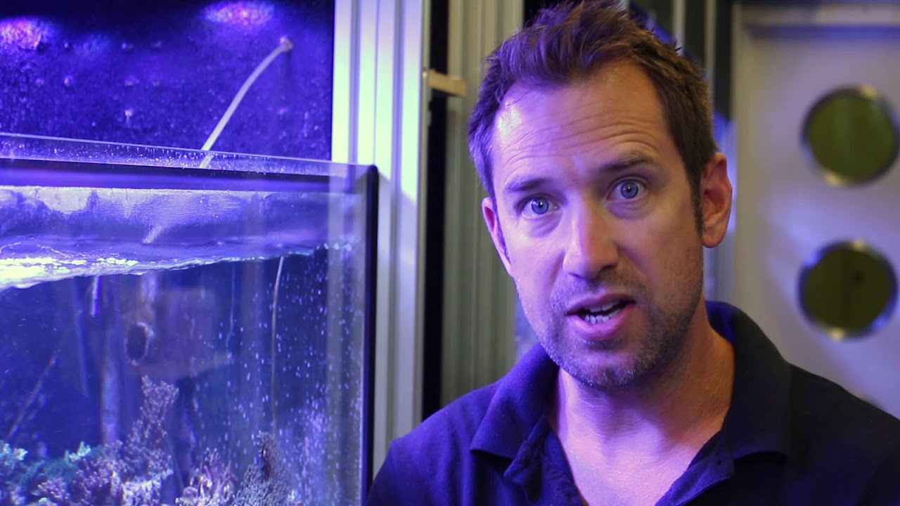 Jamie Craggs, Project Coral - YouTube