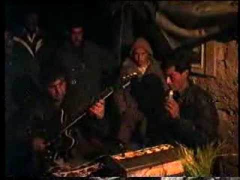 1996 novruz wenliyi