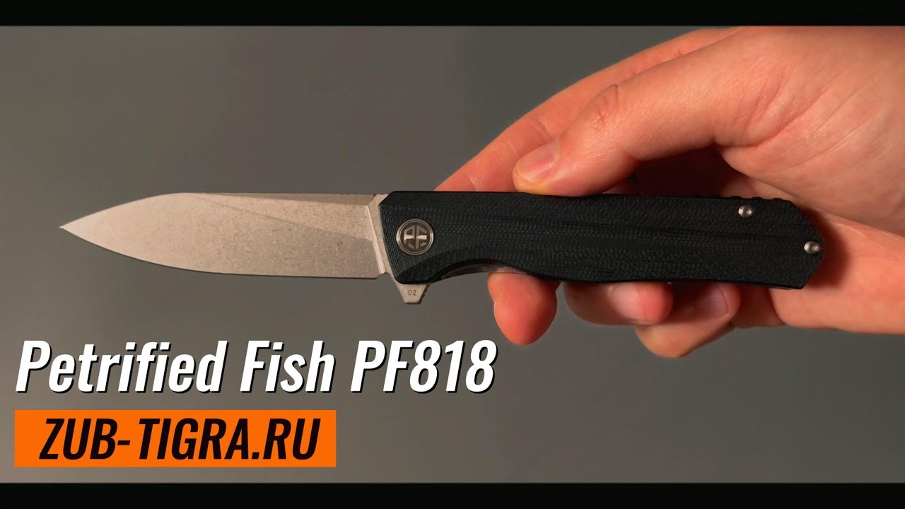 Складной нож Petrified Fish PF818 - YouTube
