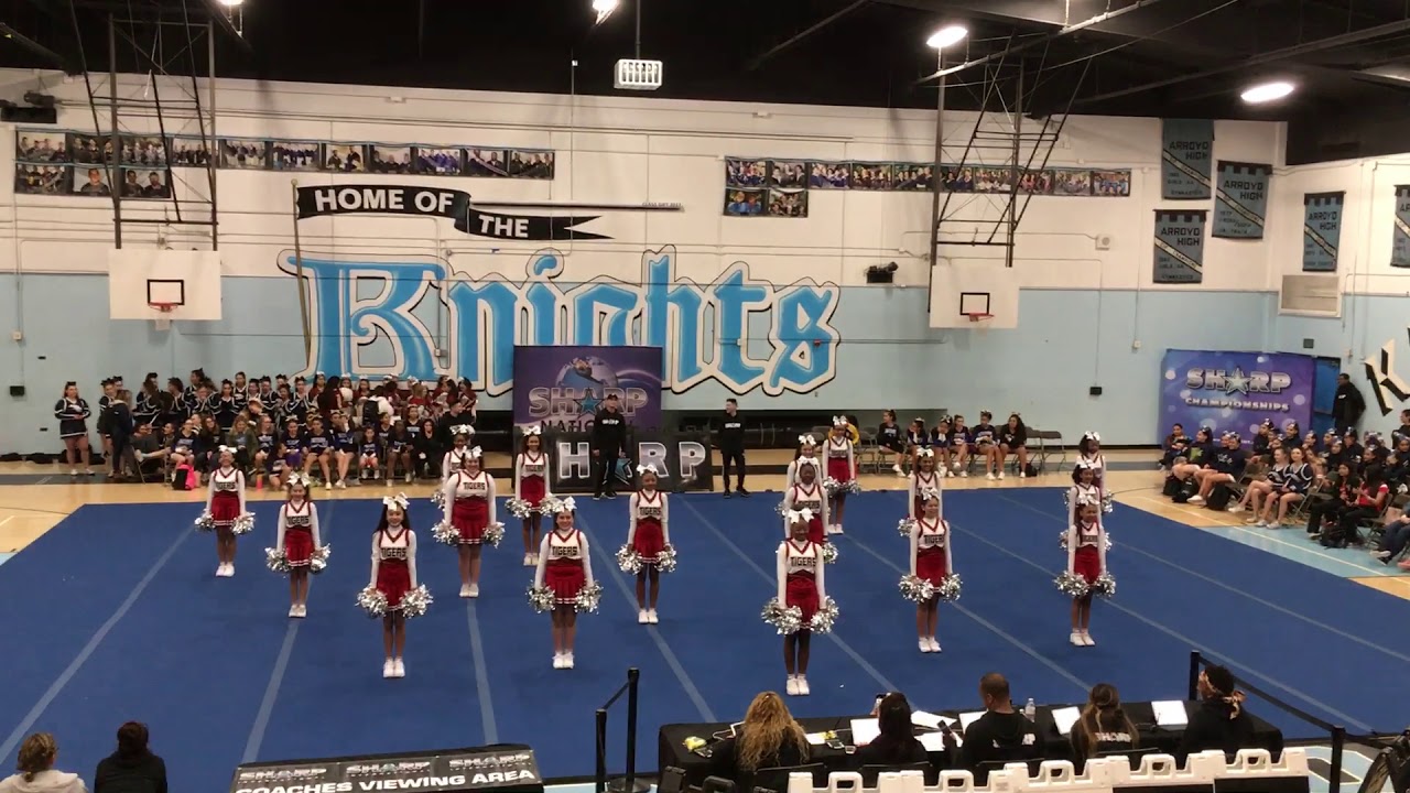 McKinley Cheer SHARP INTERNATIONAL Competition 2019 (Angle 2) - YouTube