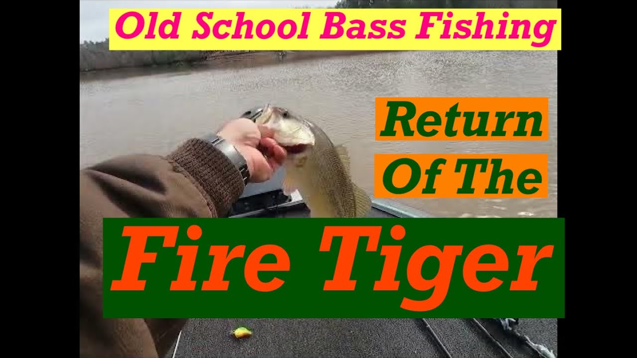 Bass Fishing: Return of the Fire Tiger! - YouTube