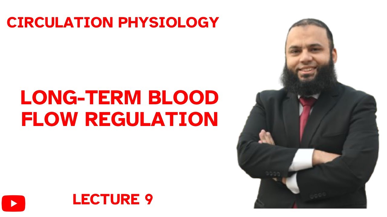 LONG-TERM BLOOD FLOW REGULATION | CVS PHYSIOLOGY | DR NAUMAN AZIZ ...