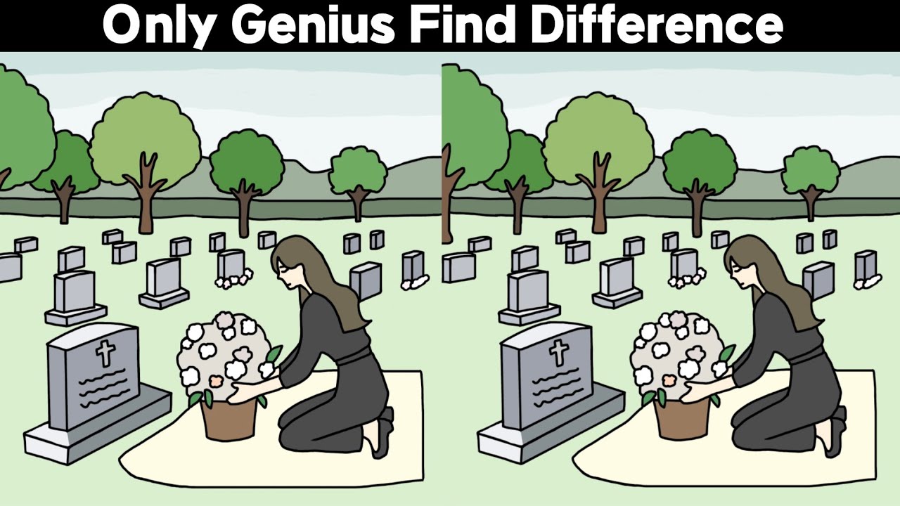 Can You Find Them All? Spot the Difference / #154 Find the Difference ...