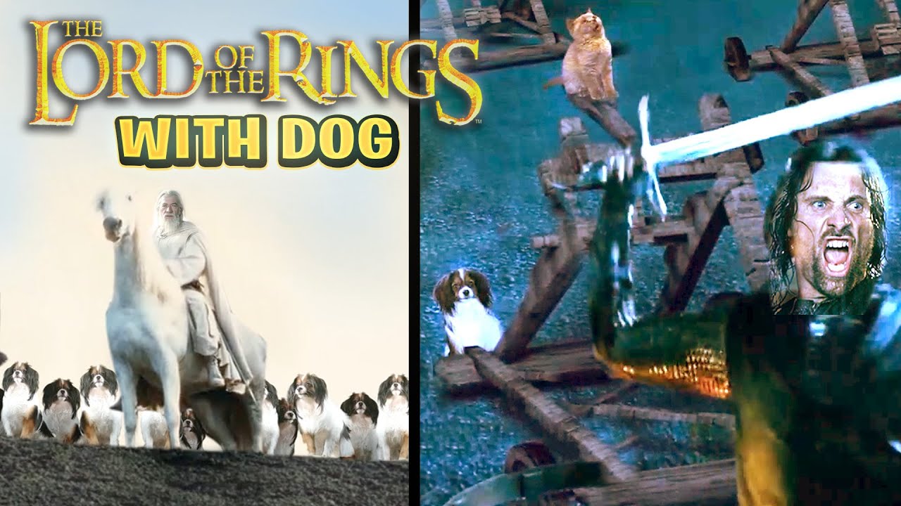 Dog helps Aragorn win the battle of Helms Deep (LOTR) - YouTube