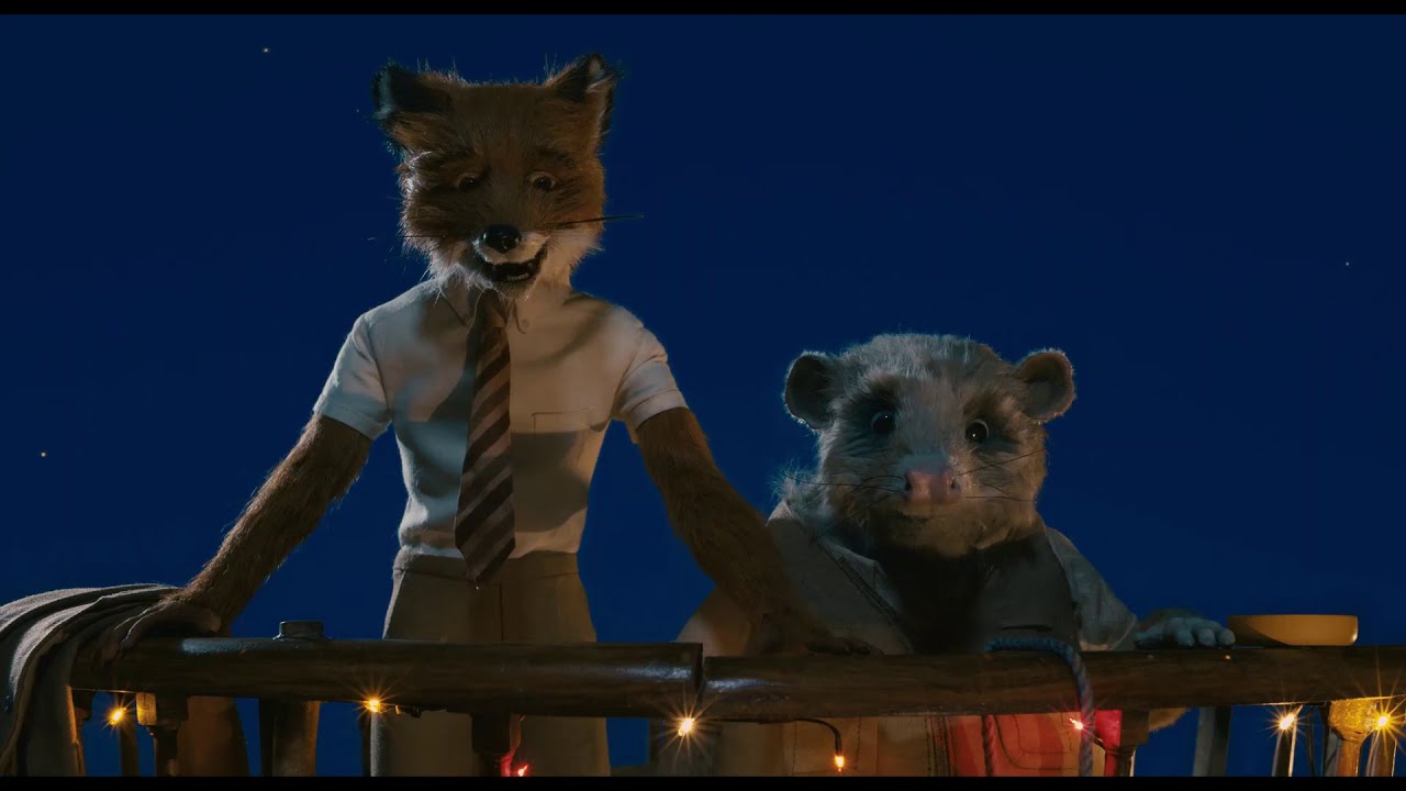 Fantastic Mr. Fox and Kylie - Who How What Now? - YouTube