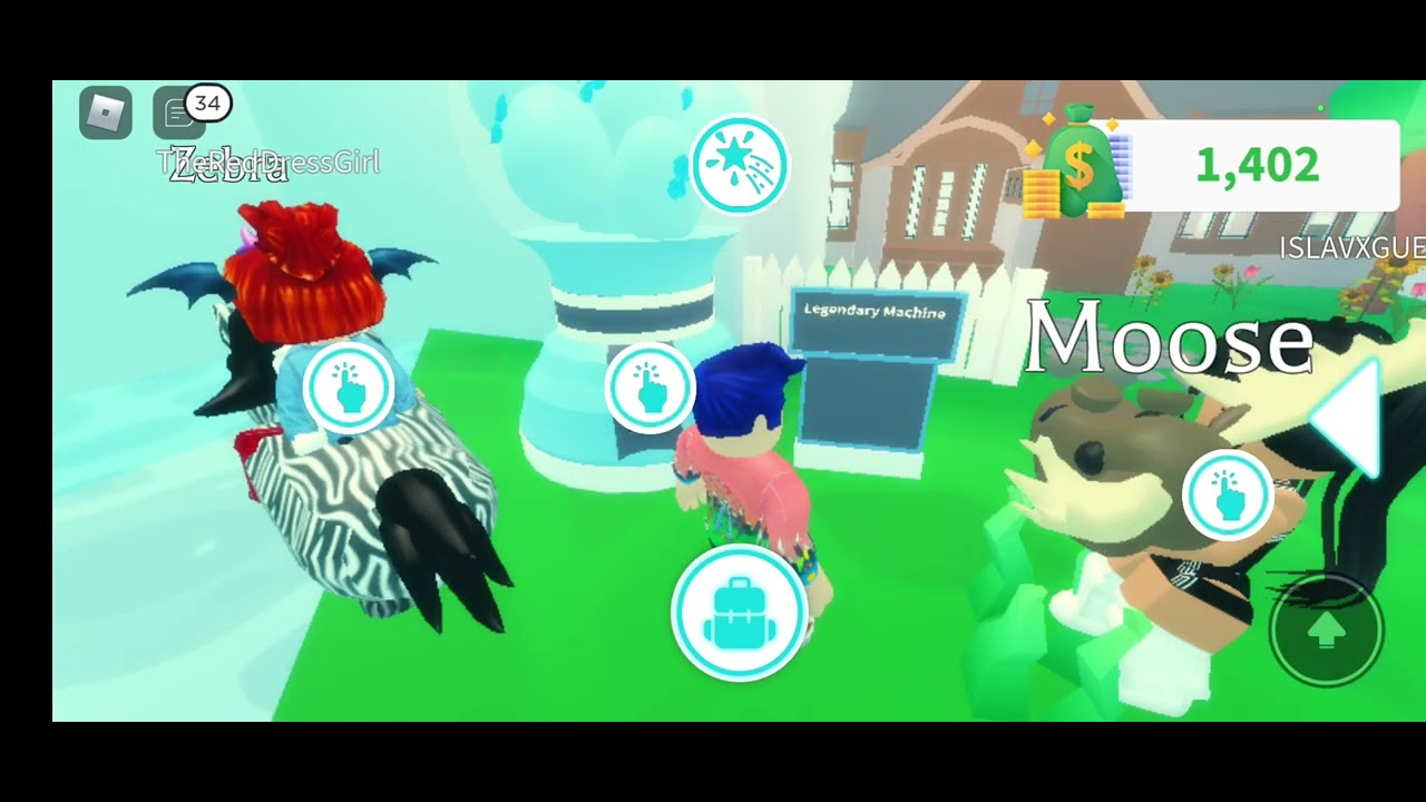 Custom Pets regresó!!!! Update 1 - YouTube