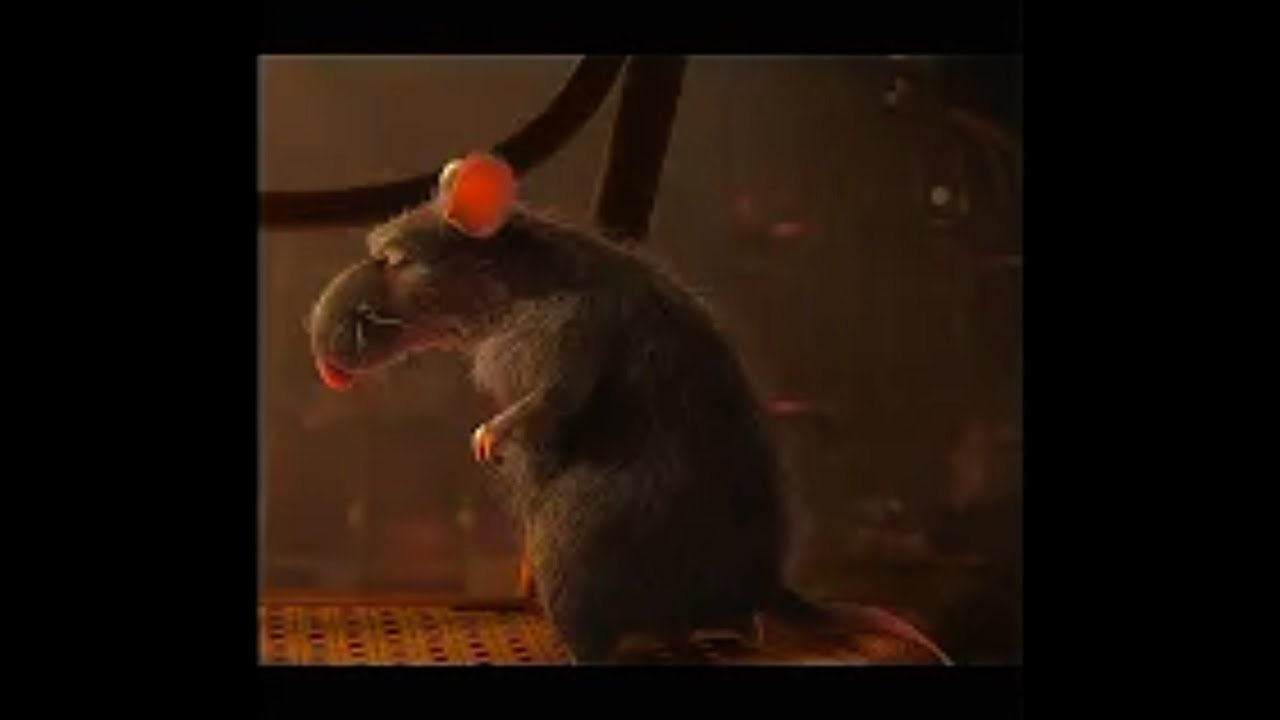 Ratatouille: Django (With Picture) (18) - YouTube