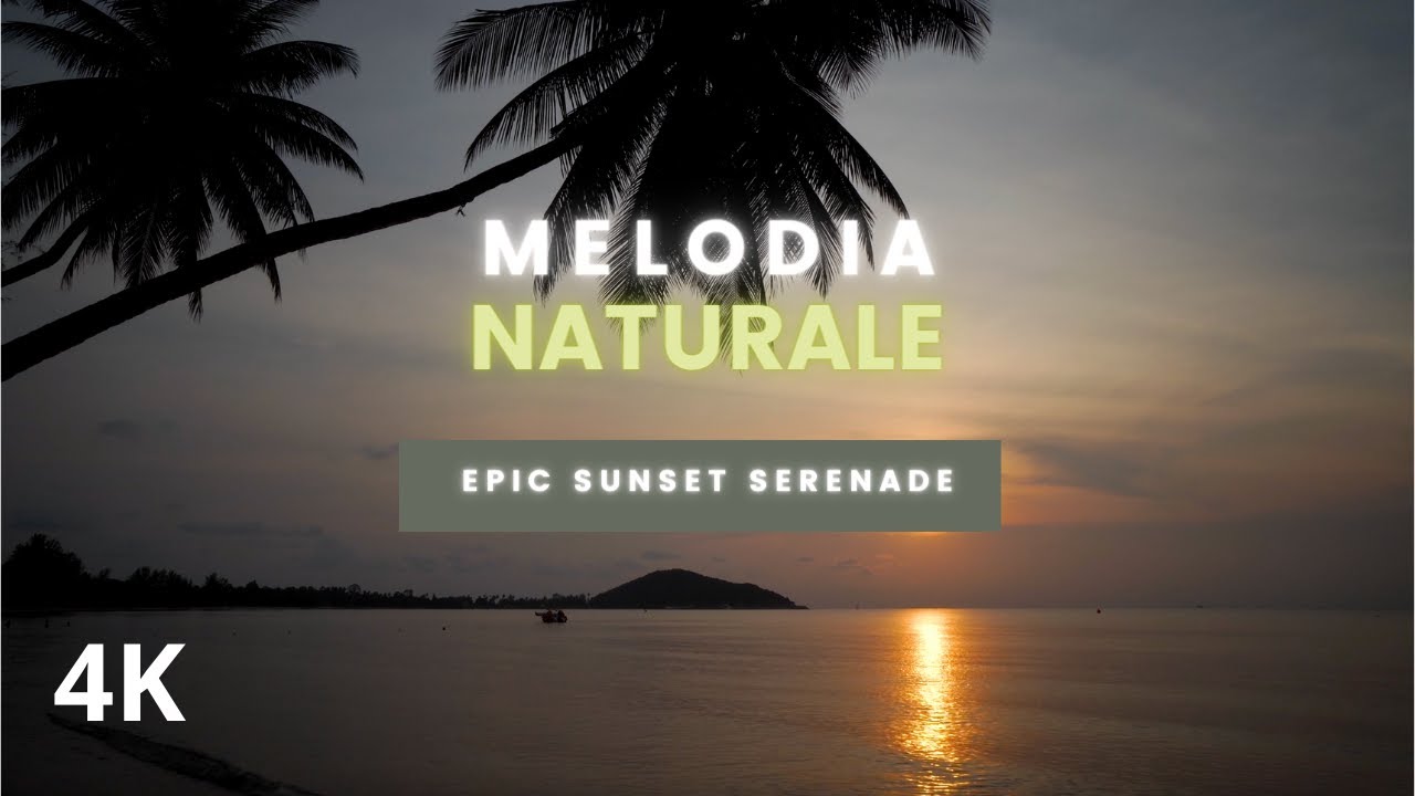 Epic Sunset Serenade: Unleash the Power of Relaxing Music on a ...