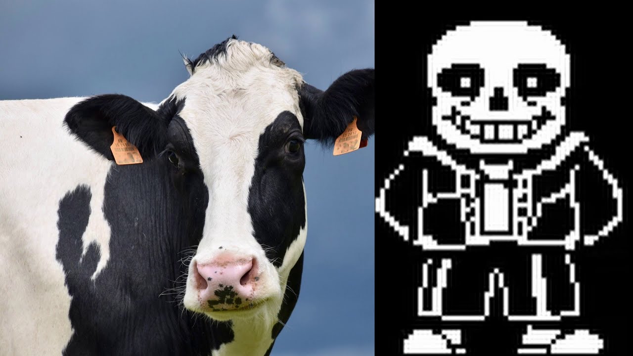cow singing sans song - YouTube