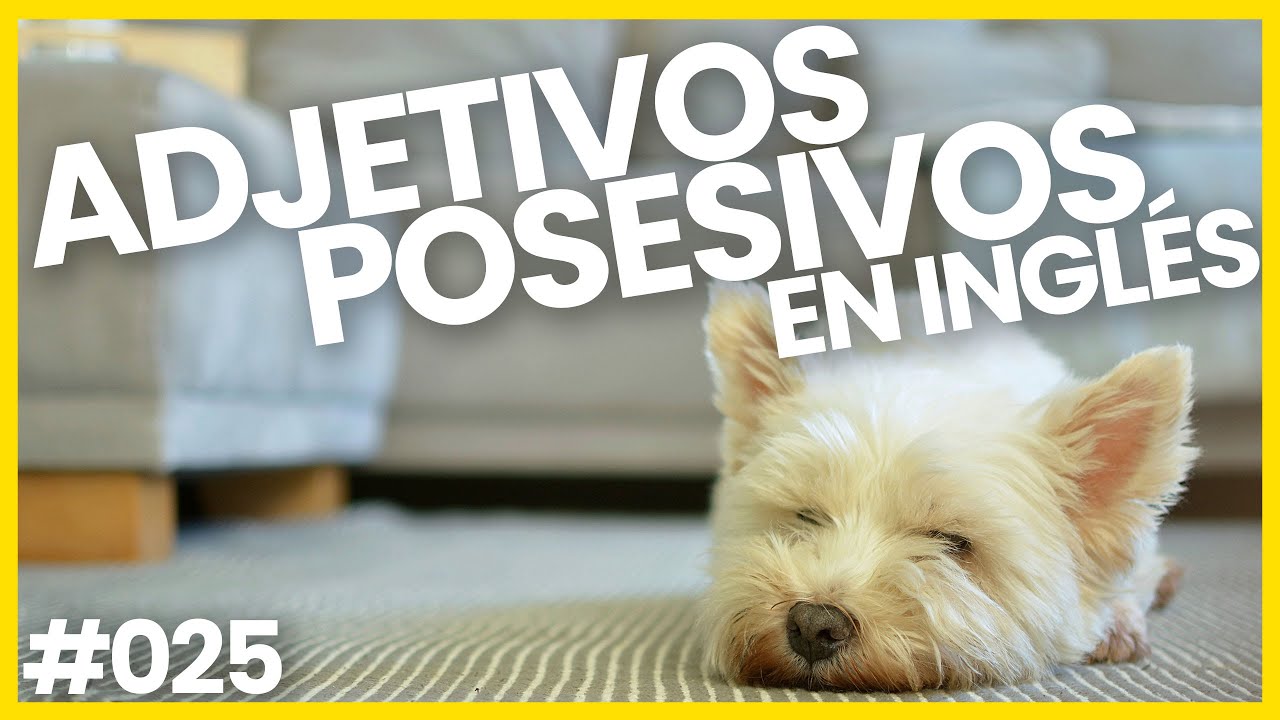🐢 Video #025 - ADJETIVOS POSESIVOS EN INGLÉS - My - Your - Her - His ...