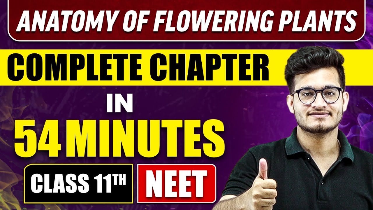 ANATOMY OF FLOWERING PLANTS IN 54 MINUTES | Full Chapter Revision ...