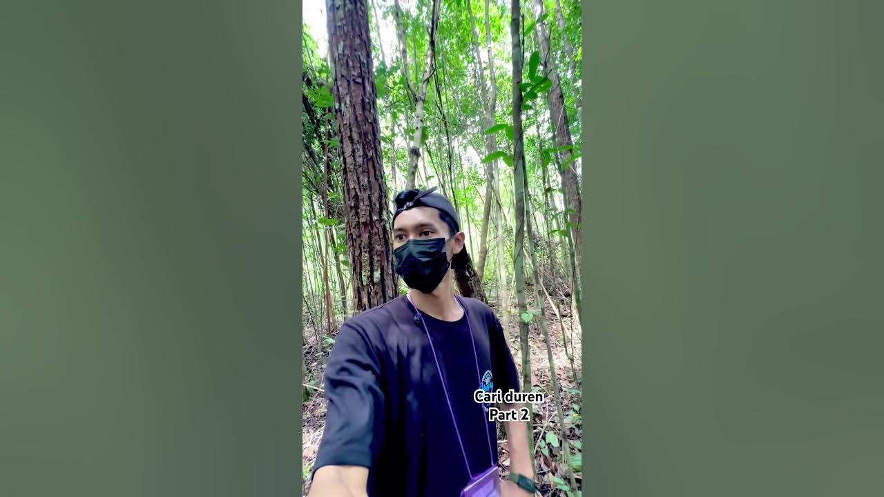 Kesasar di hutan part 2 - YouTube