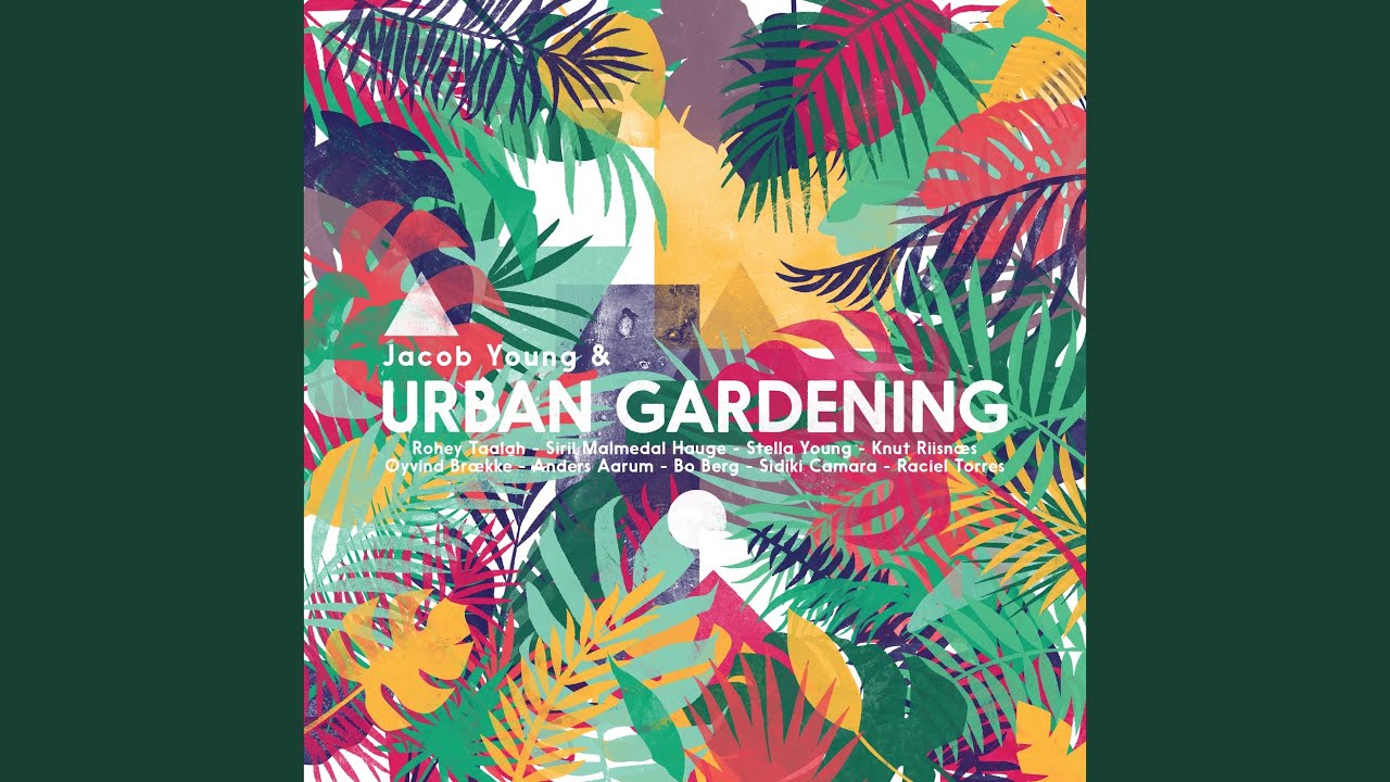 16 Bars of Funk / Roll the Dice - YouTube